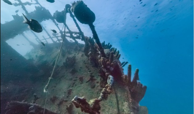 19 of the most stunning images from Google Street View… underwater