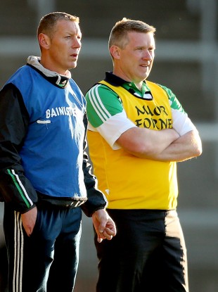 Two Limerick hurling legends lose out against native county in new ...