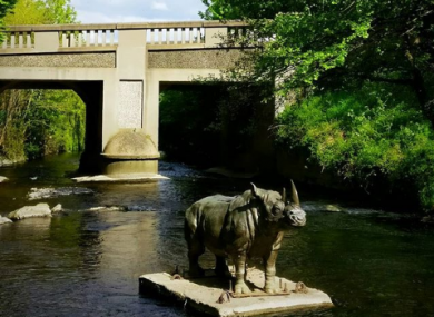 Double Take: The mysterious African rhino that appeared overnight in a ...